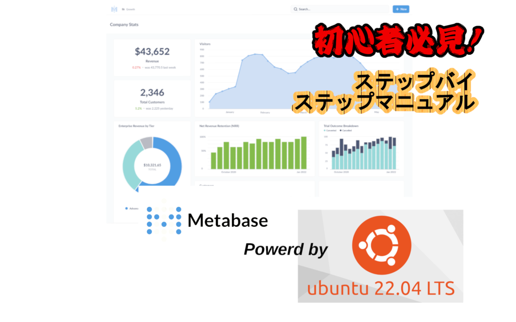 Metabase入門：初心者向けステップバイステップマニュアル | データ分析と可視化をマスター | IT Toolを使い倒す